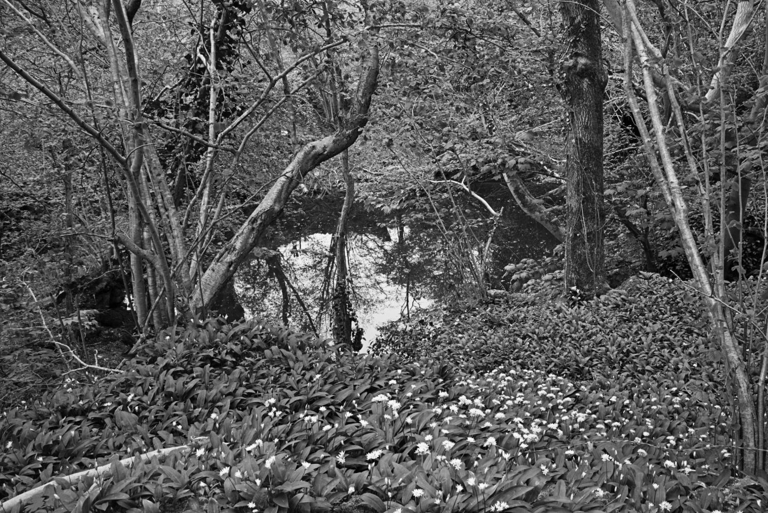 Flooded mine